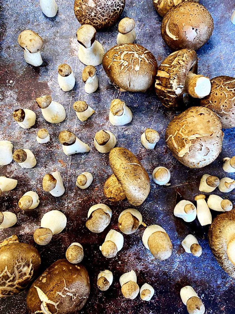 10 min Asian Mushroom Recipe with Butter Soy Glaze | Rice Life Foodie ...