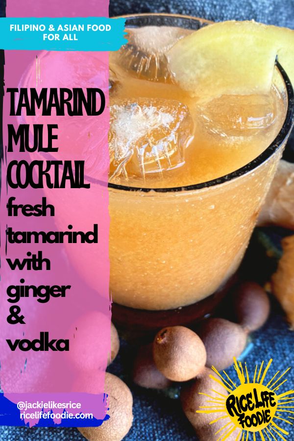 Tamarind Ginger Cocktail: Magalang Mule | Rice Life Foodie - Asian ...