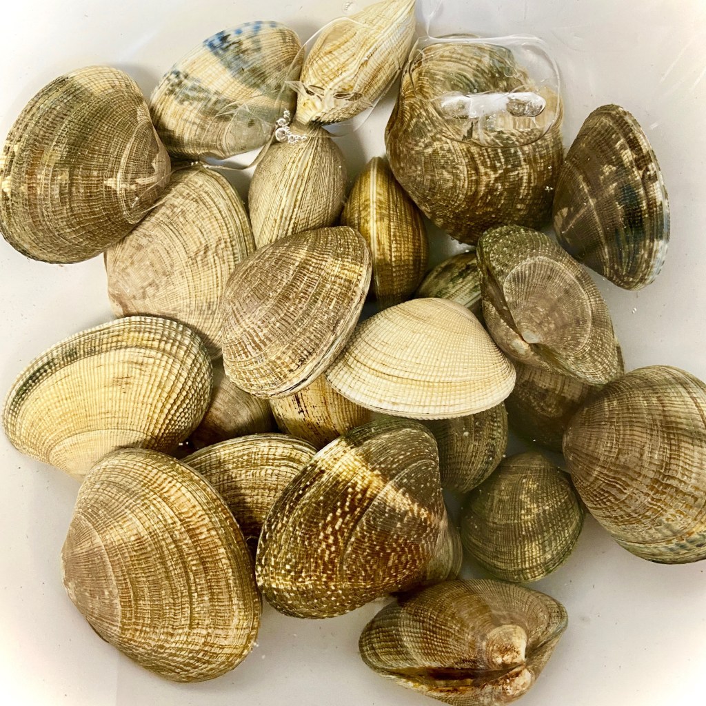 So FAST, EASY, and BEST MANILA CLAMS | Rice Life Foodie - Asian Recipes ...