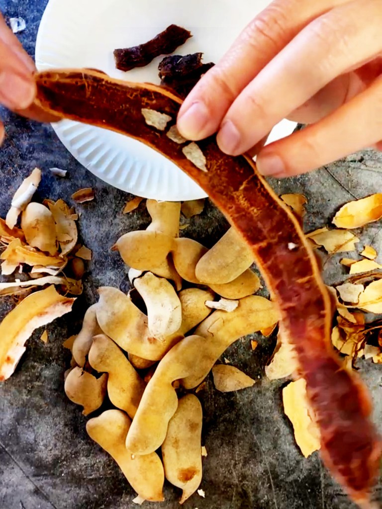 EASY Tamarind Paste from Scratch | Rice Life Foodie - Asian Recipes and ...