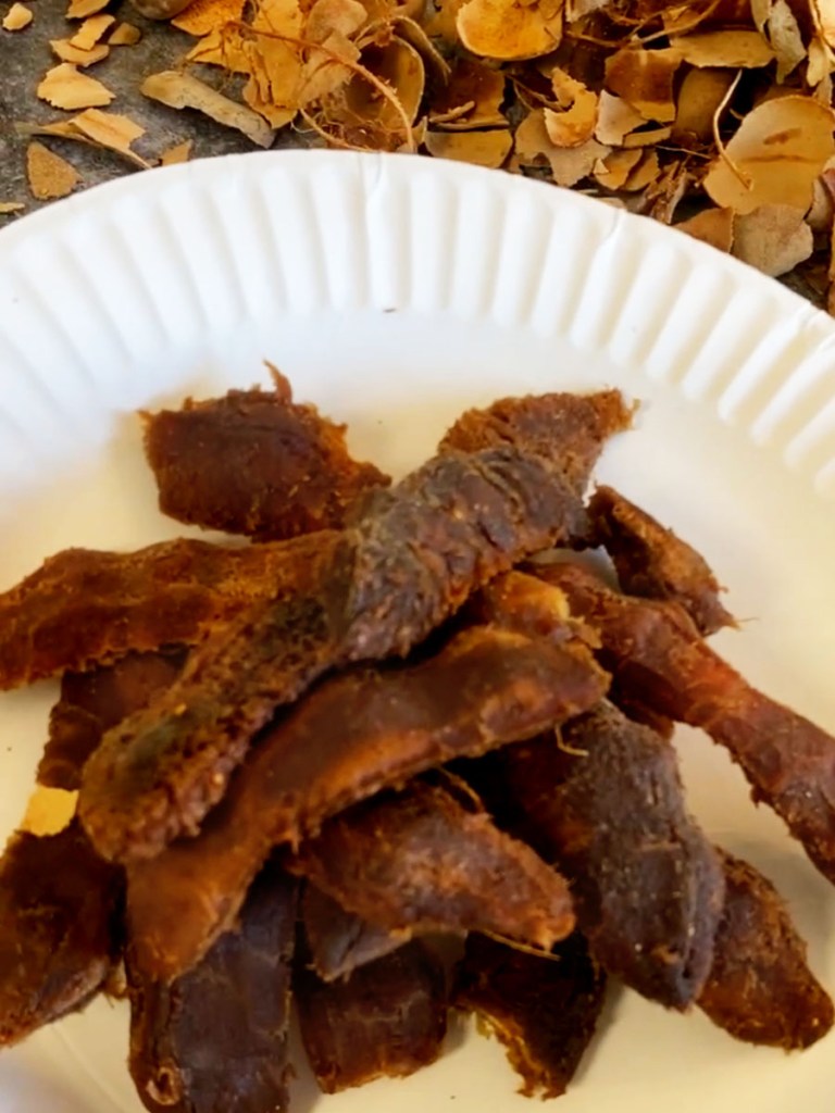 EASY Tamarind Paste from Scratch | Rice Life Foodie - Asian Recipes and ...