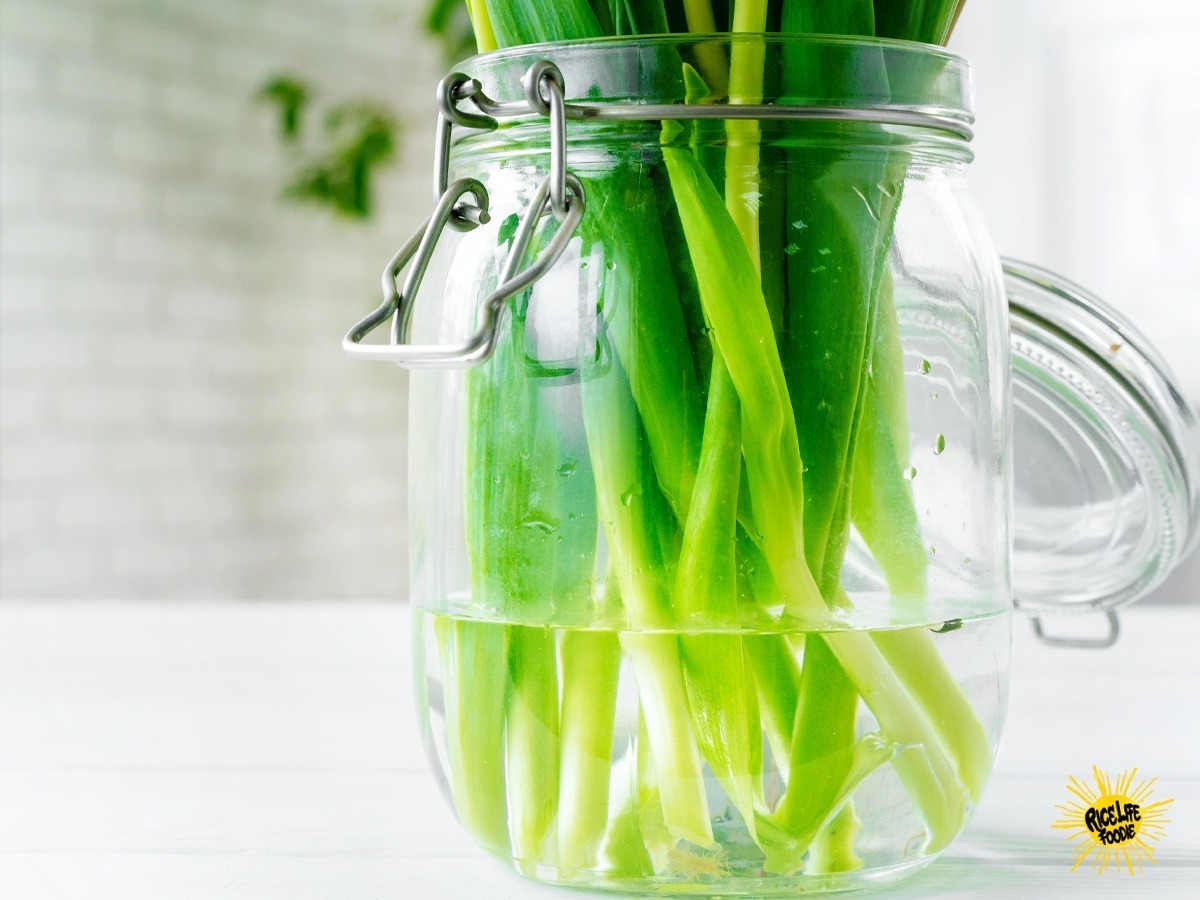 Keep Your Scallions and Cilantro Fresh: Top Tips for Refrigerator ...