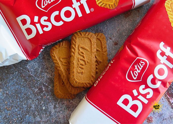 Irresistible Fruit Float Biscoff Dessert with Mango and Berries | Rice ...