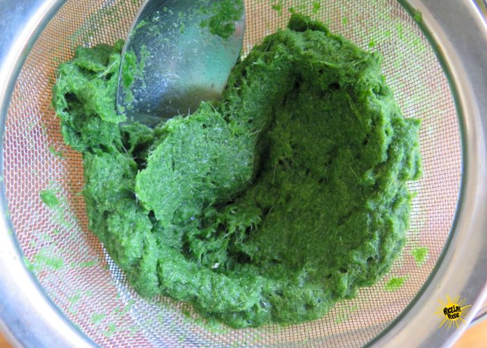 How to Make Pandan Extract ALL NATURAL! | Rice Life Foodie - Asian ...