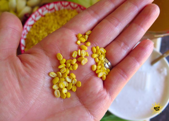 VEGAN Ginataang Monggo (Coconut Milk Mung Bean Recipe) | Rice Life ...