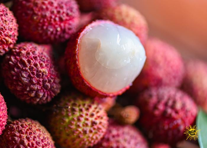 LYCHEE Iced Tea - A Refreshing, Tropical delight! | Rice Life Foodie ...